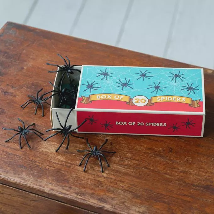 Box of 20 spiders - Classic Jokes – Indian Summer London